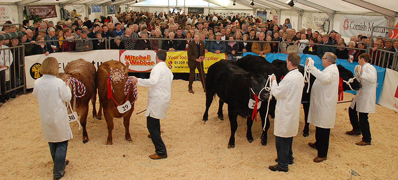 Truro Primestock Show brings farming to the city | Truro Primestock Show